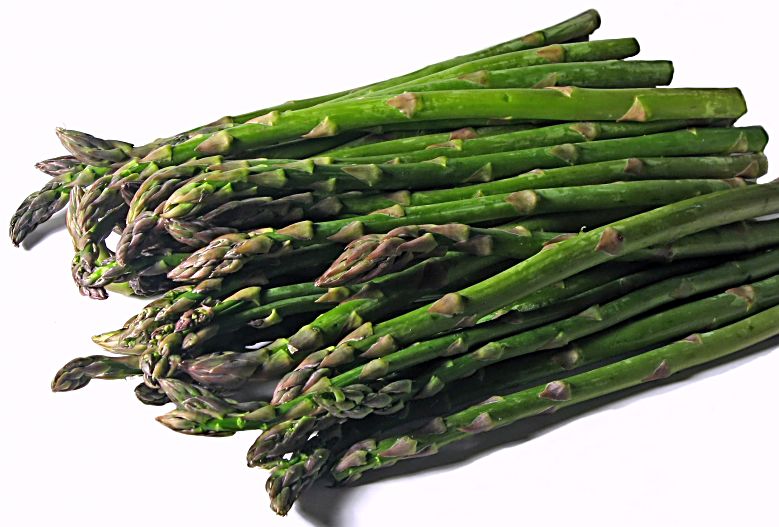 Growing of Asparagus - Franchise, Business and Entrepreneur