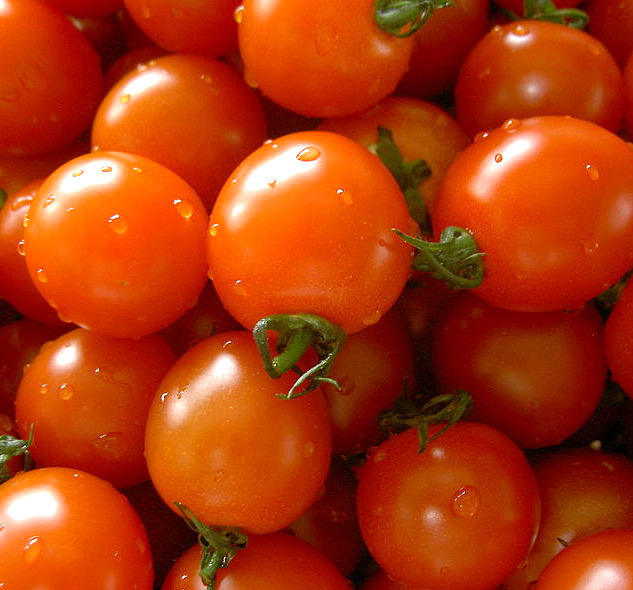 Tomato or Kamatis Production - Franchise, Business and Entrepreneur